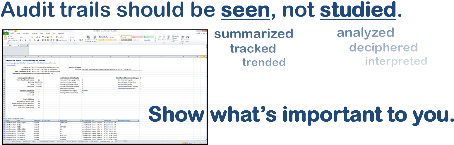 ExcelSafe Audit Trail Report | Ofni Systems